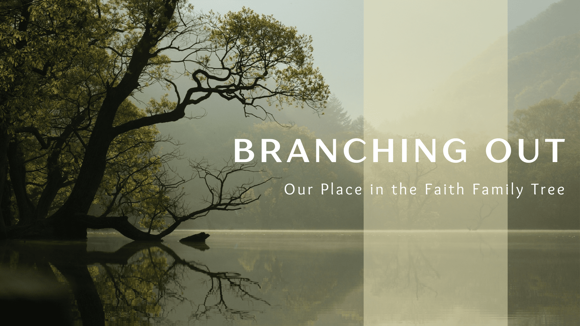 Sunday Services - Making God's Love Real in Tampa, Florida, and the World